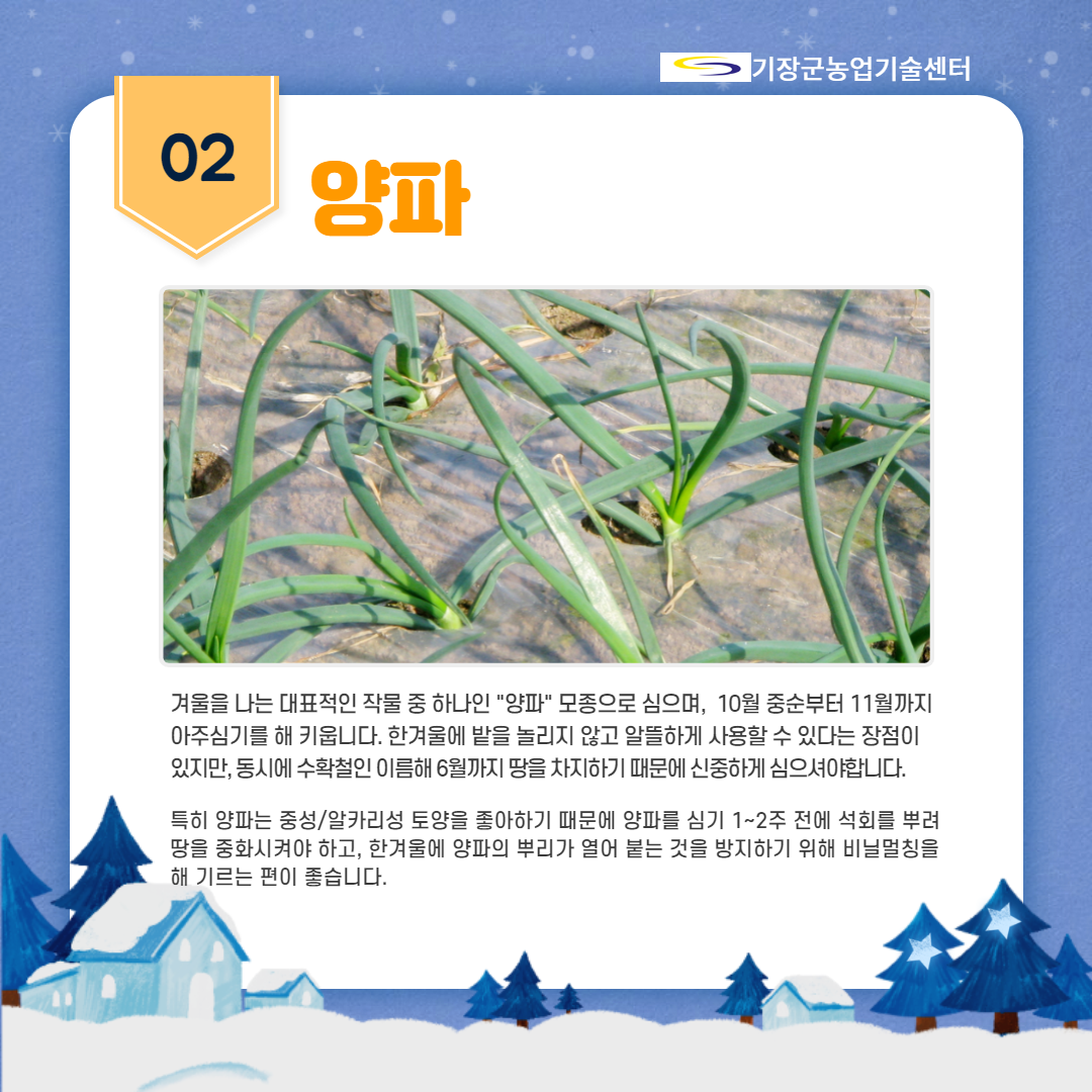 맛집&특산물 > 숙박시설