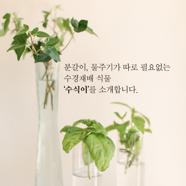 참여마당 > 자료실