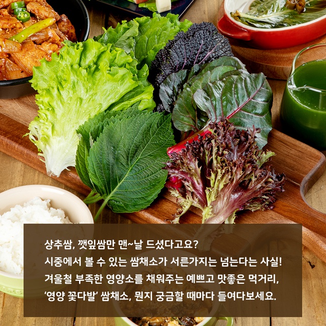 참여마당 > 자료실